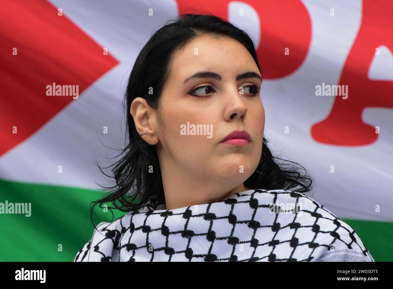 Cease Fire Now - Palestine Stock Photo - Alamy