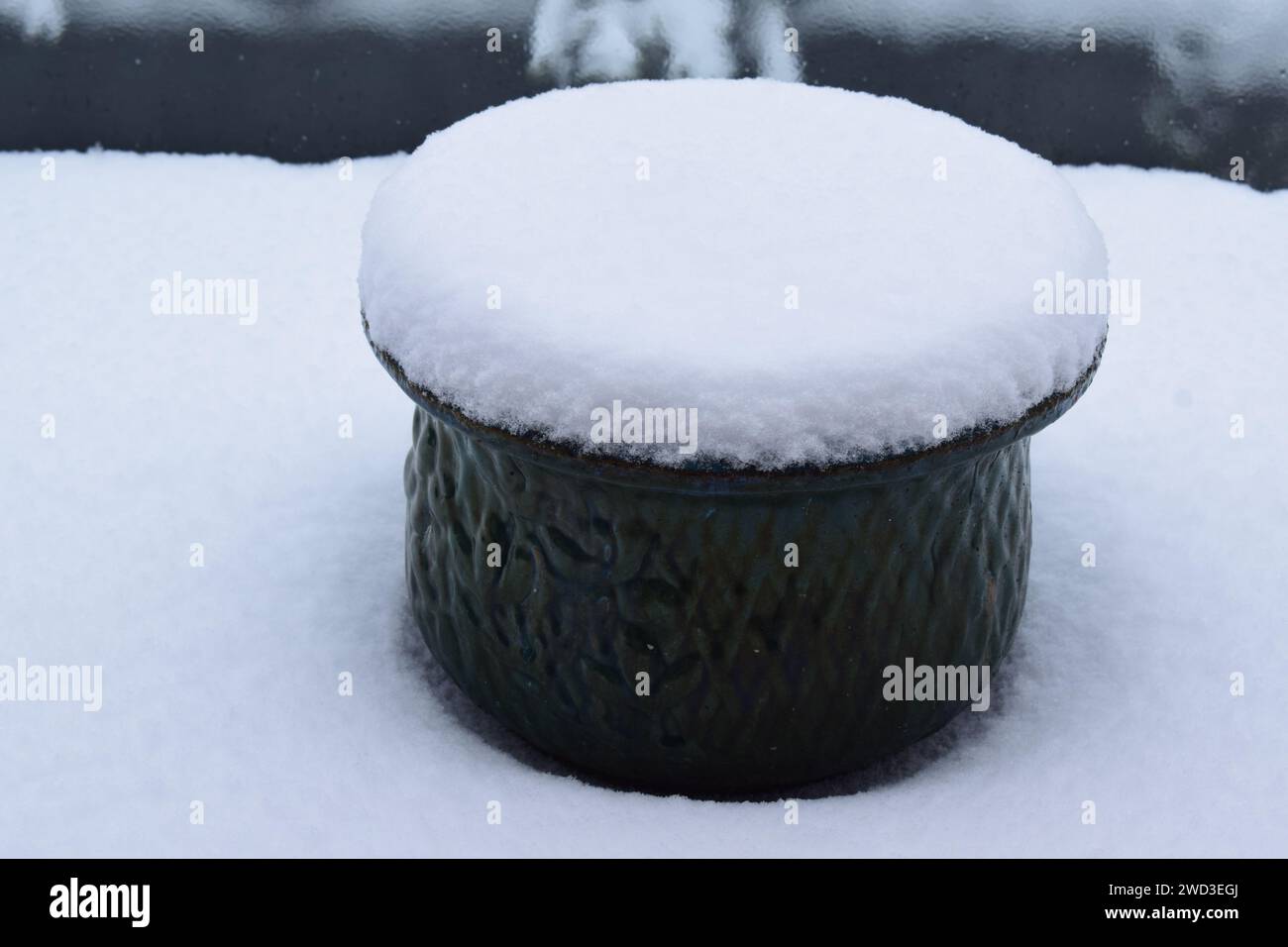 Fresh snowfall on plants hi-res stock photography and images - Alamy