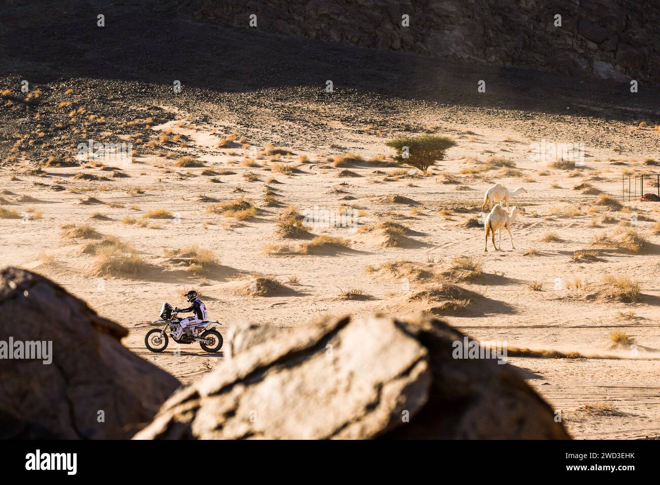 26 DABROWSKI Konrad (pol), DUUST Rally Team, Husqvarna, Moto, FIM W2RC ...