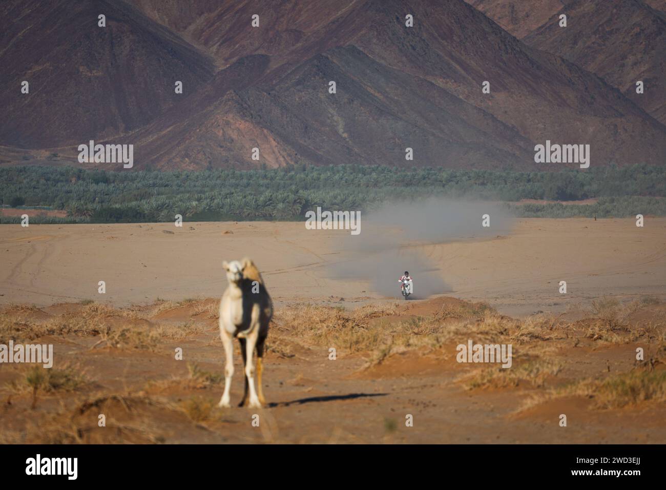 16 DUMONTIER Romain (fra), Team Dumontier Racing, Husqvarna, Moto, FIM ...