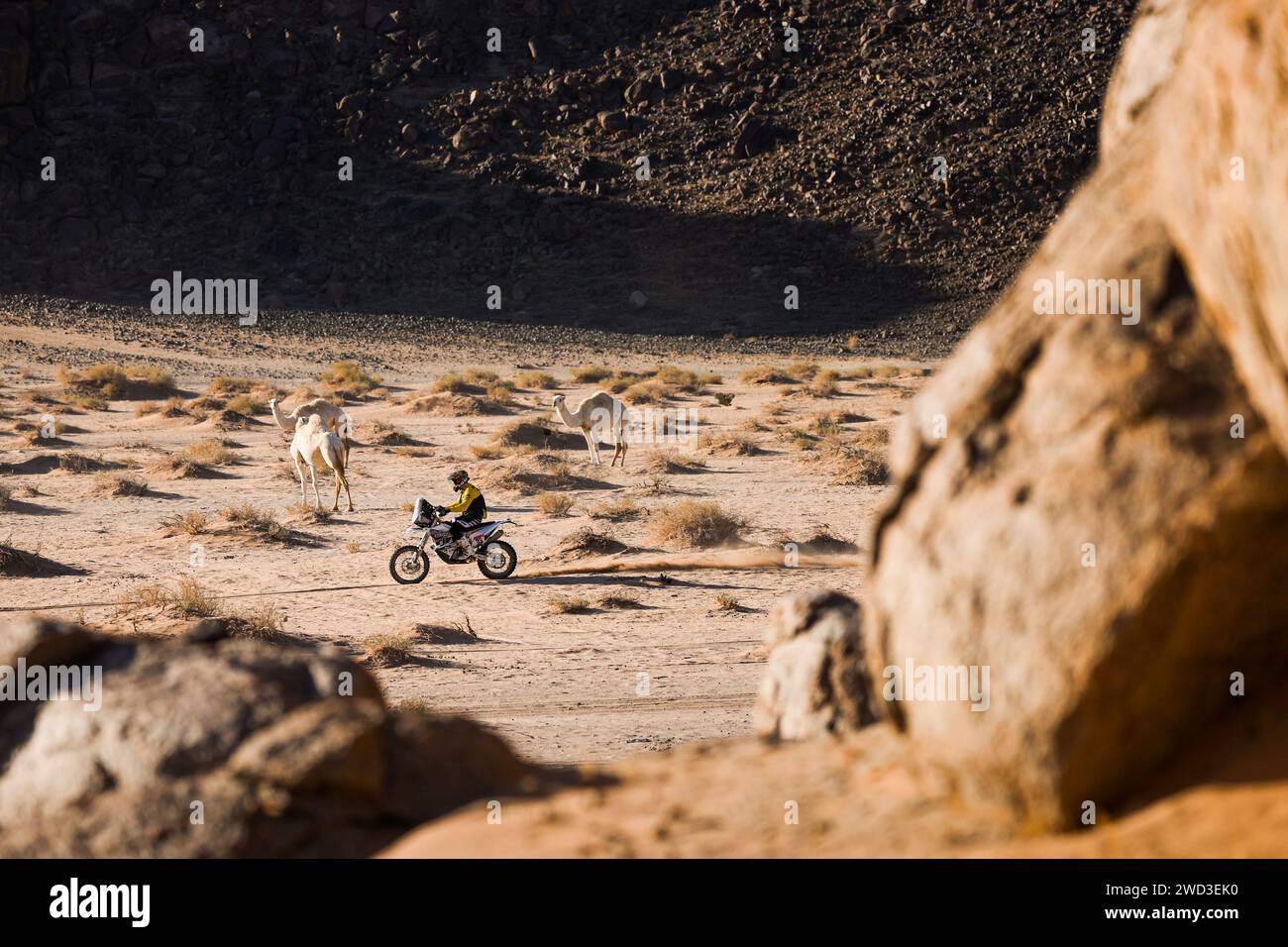 350 GROUWELS Roger (nld), VAN NEDERPELT Ronald (nld), Raceart / QFF ...