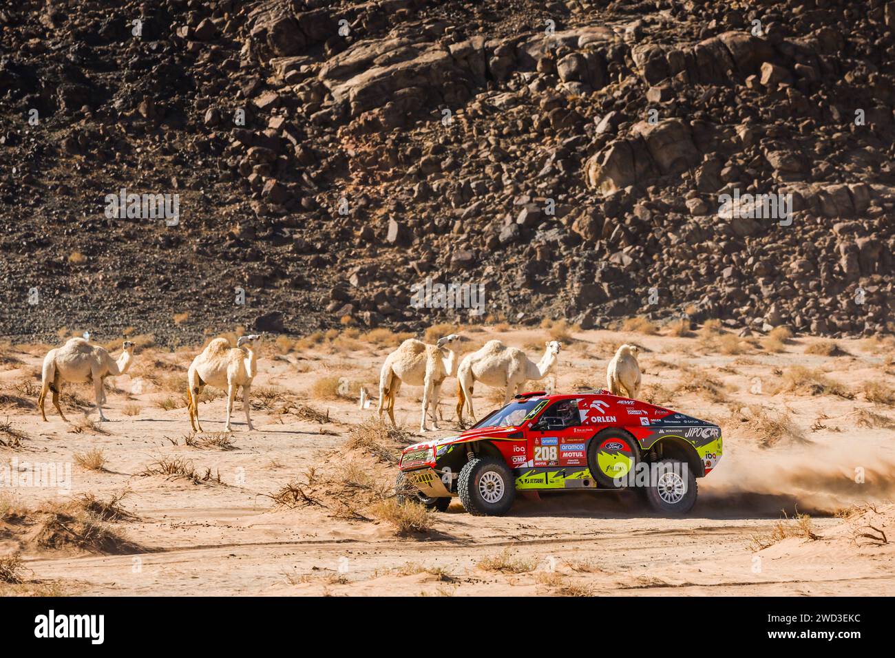 208 PROKOP Martin (cze), CHYTKA Viktor (cze), Orlen Jipocar Team, Ford ...