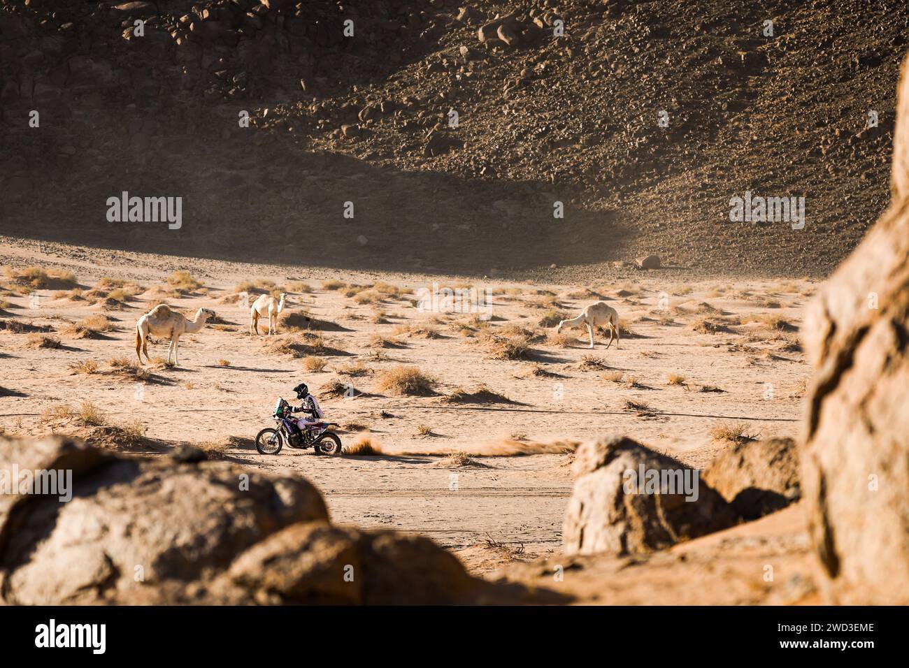 62 MIROIR Jérémy (fra), Fantic Racing Rally Team, Fantic, Moto, action ...