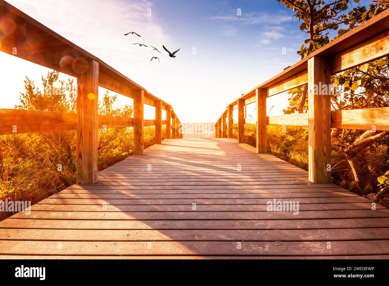 Romantic beach boardwalk hi-res stock photography and images - Alamy