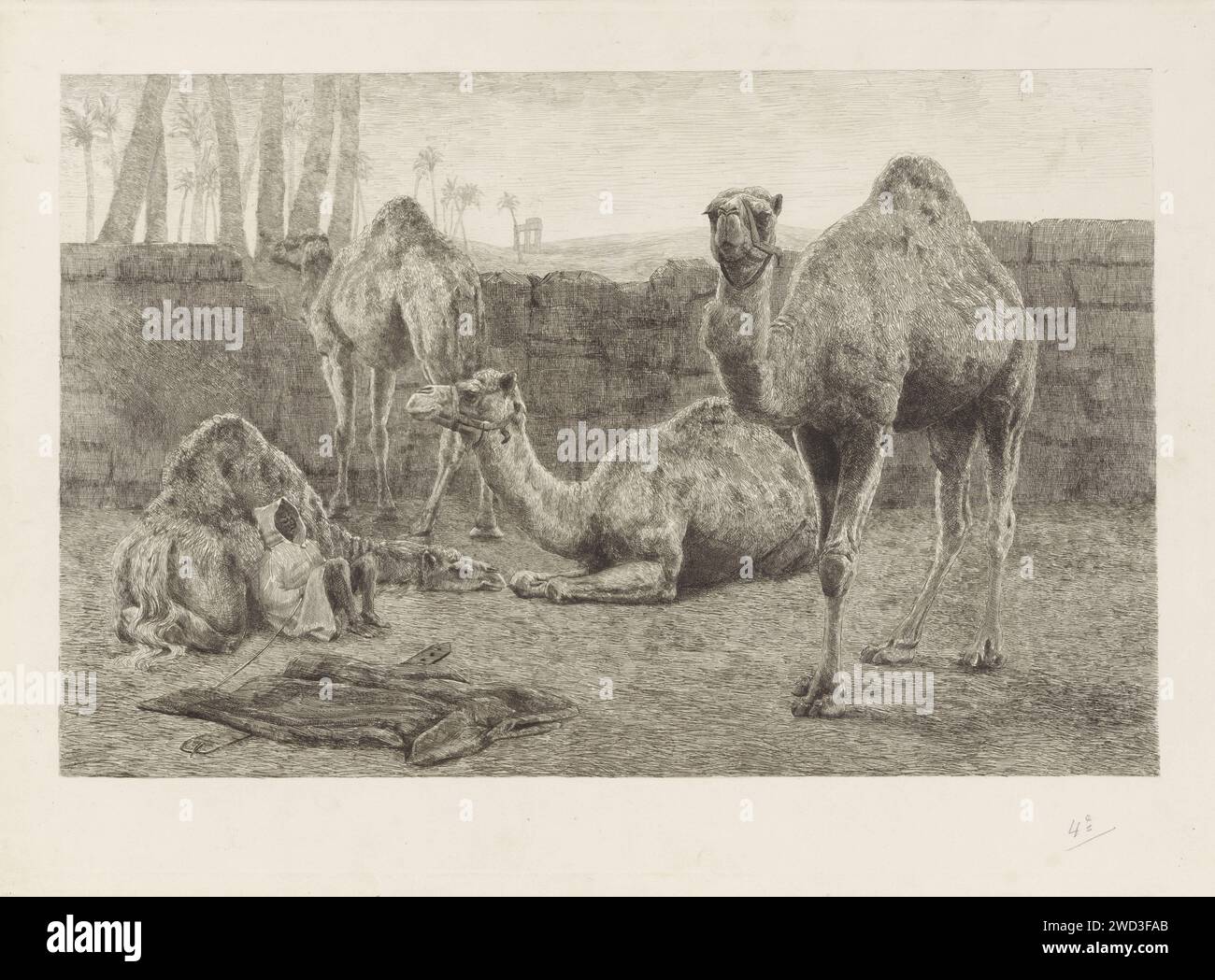 Camel, August Le Gras, 1886 print Four camels inside stone walls in the ...