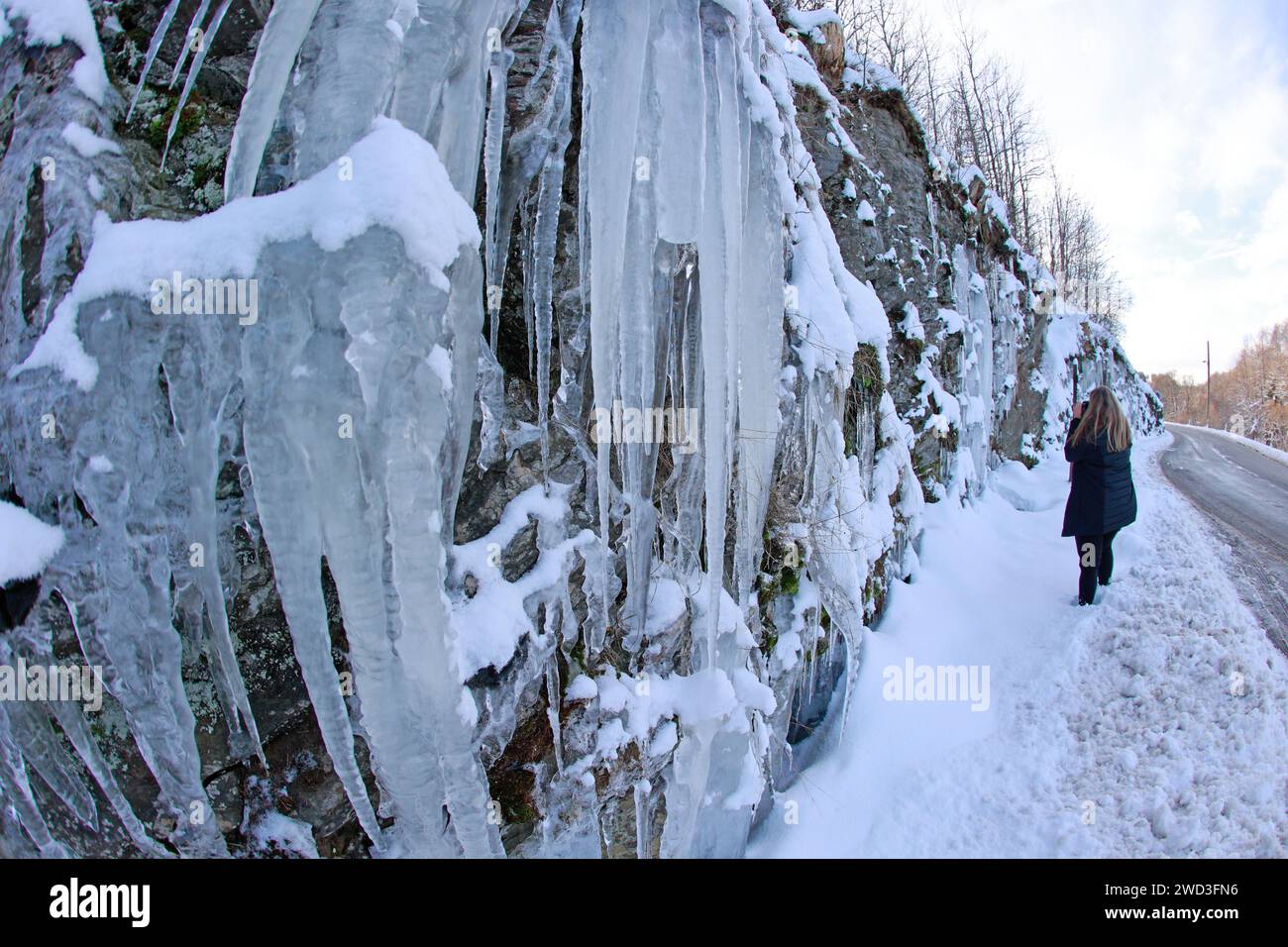 Tanne, Germany. 18th Jan, 2024. Icicles form on a rock face in Tanne ...