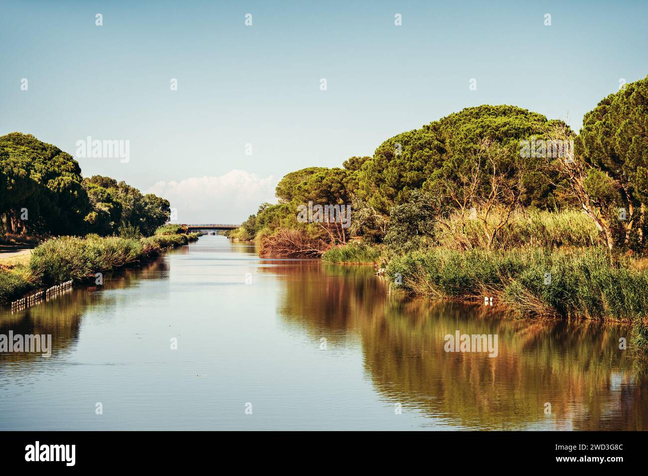 Wildlife reserve france hi-res stock photography and images - Alamy