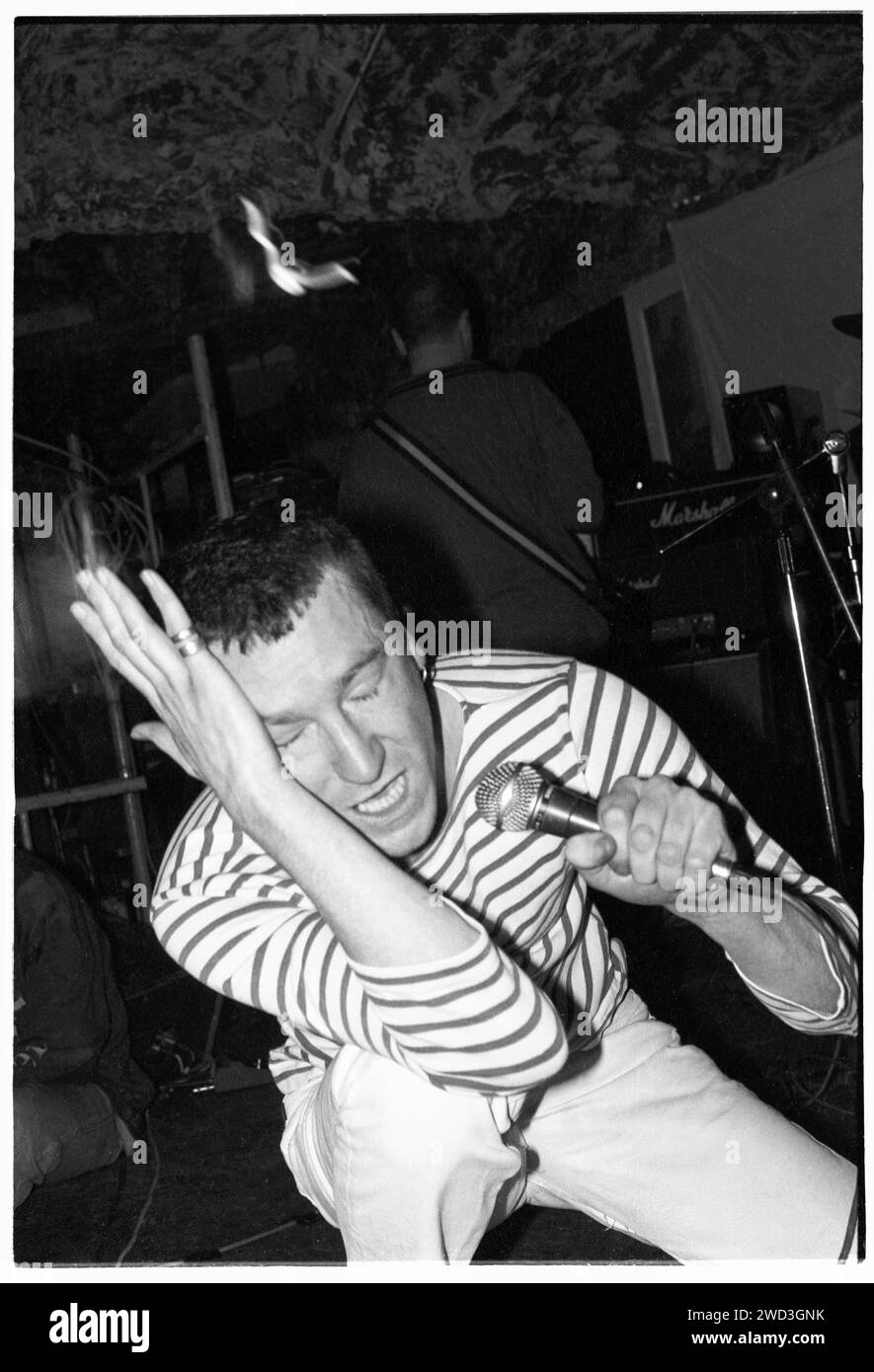 Tj's Cut Out Stock Images & Pictures - Alamy