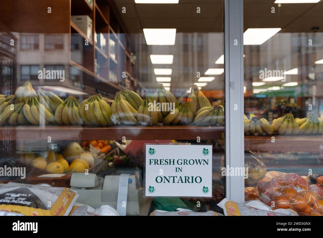 Fresh grown in Ontario Sign in the window of a store in Toronto ...