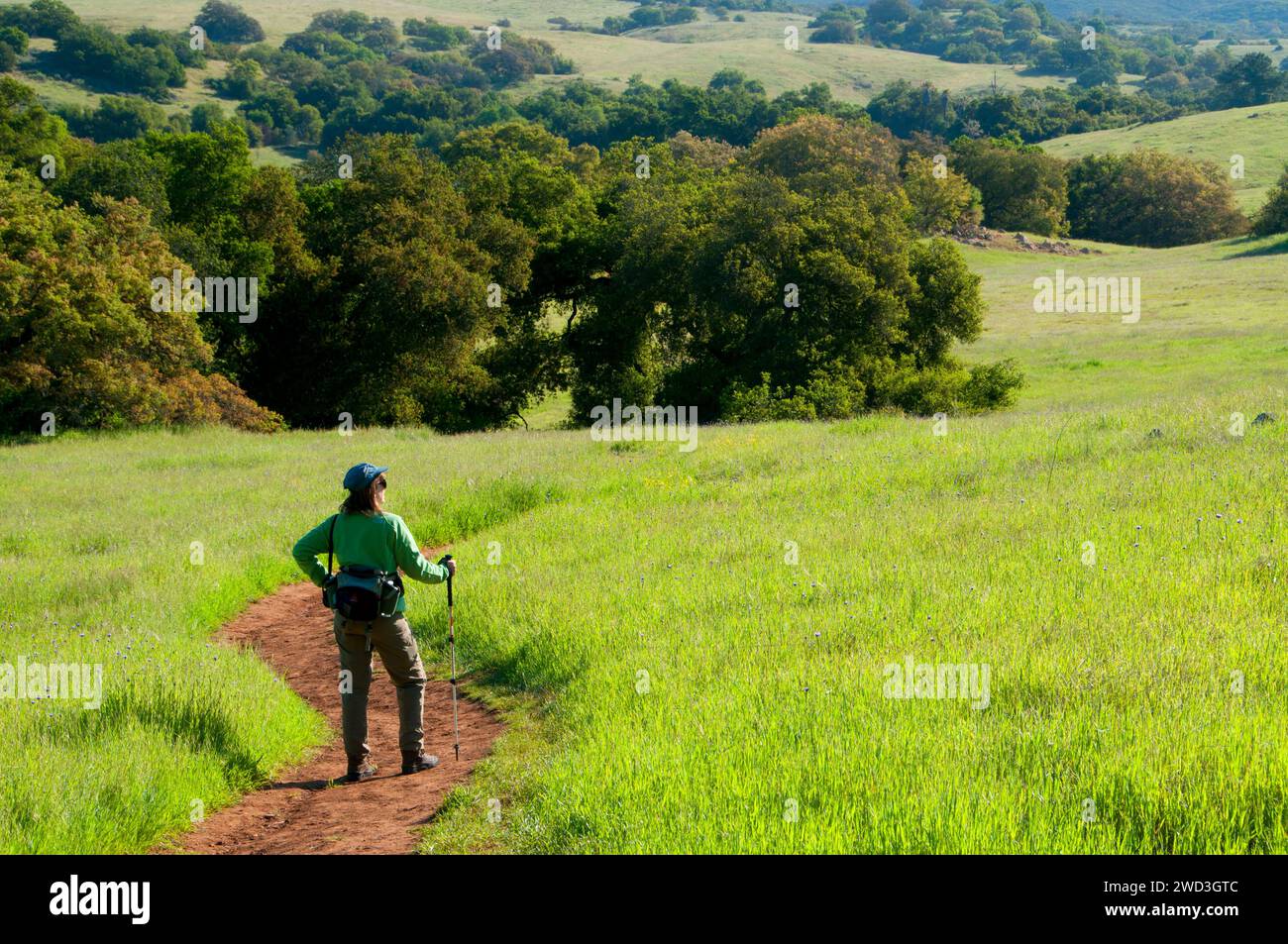 Vernal Pool Trail, Santa Rosa Plateau Ecological Preserve, California ...