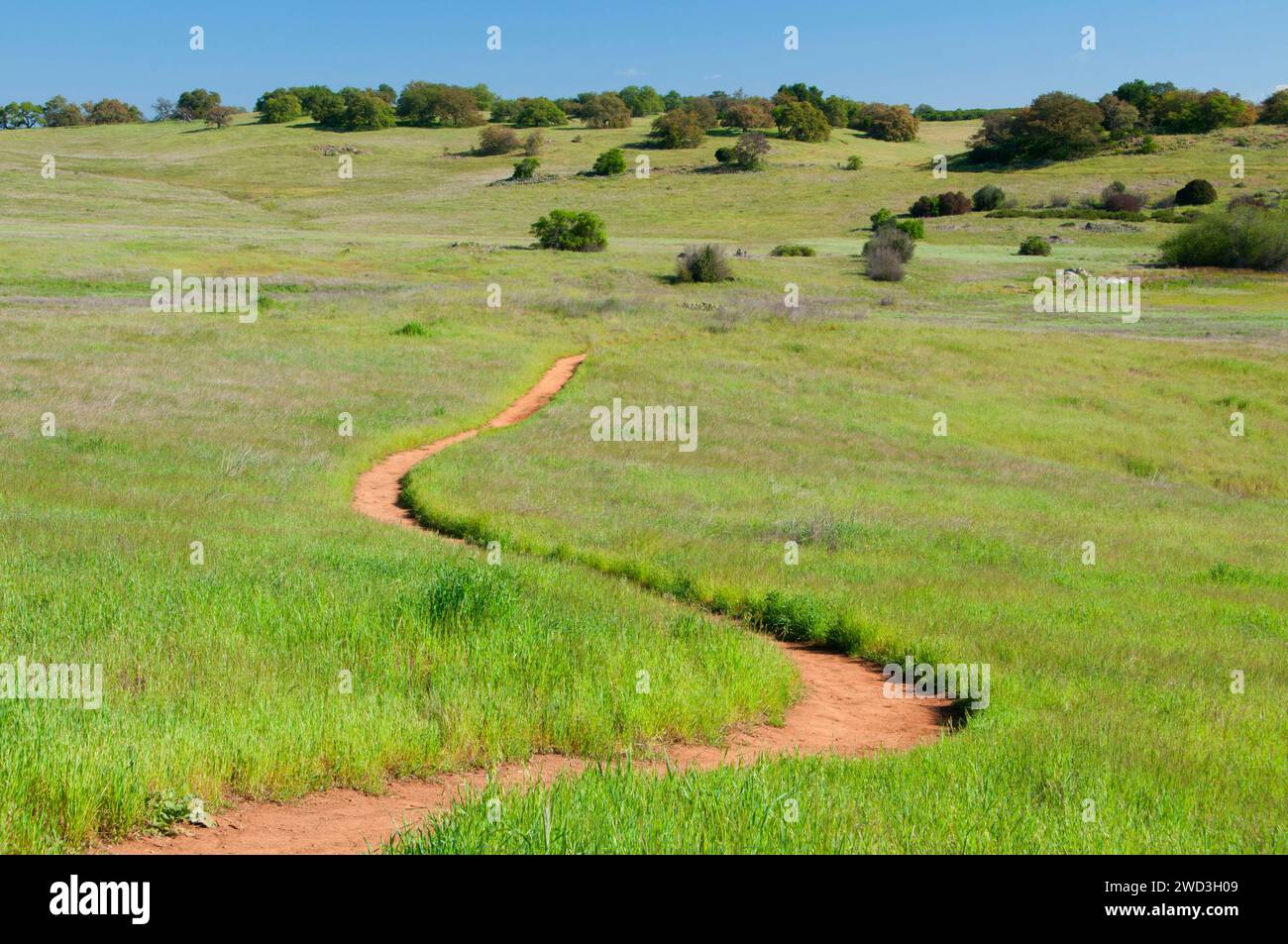 Vernal Pool Trail, Santa Rosa Plateau Ecological Preserve, California ...