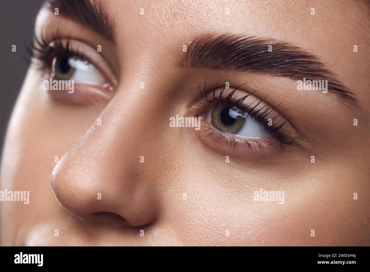 Well groomed eyebrows hi-res stock photography and images - Alamy