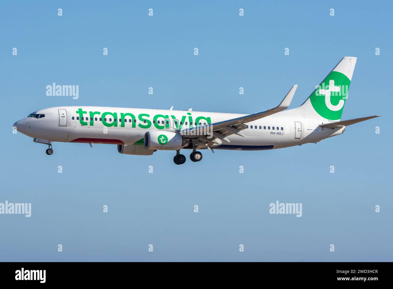 Transavia airline Boeing 737 airliner landing Stock Photo - Alamy