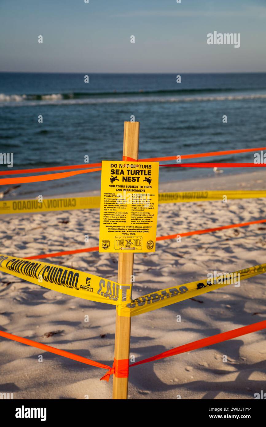 Protective barrier is set up to protect a sea turtle nest on a Florida ...
