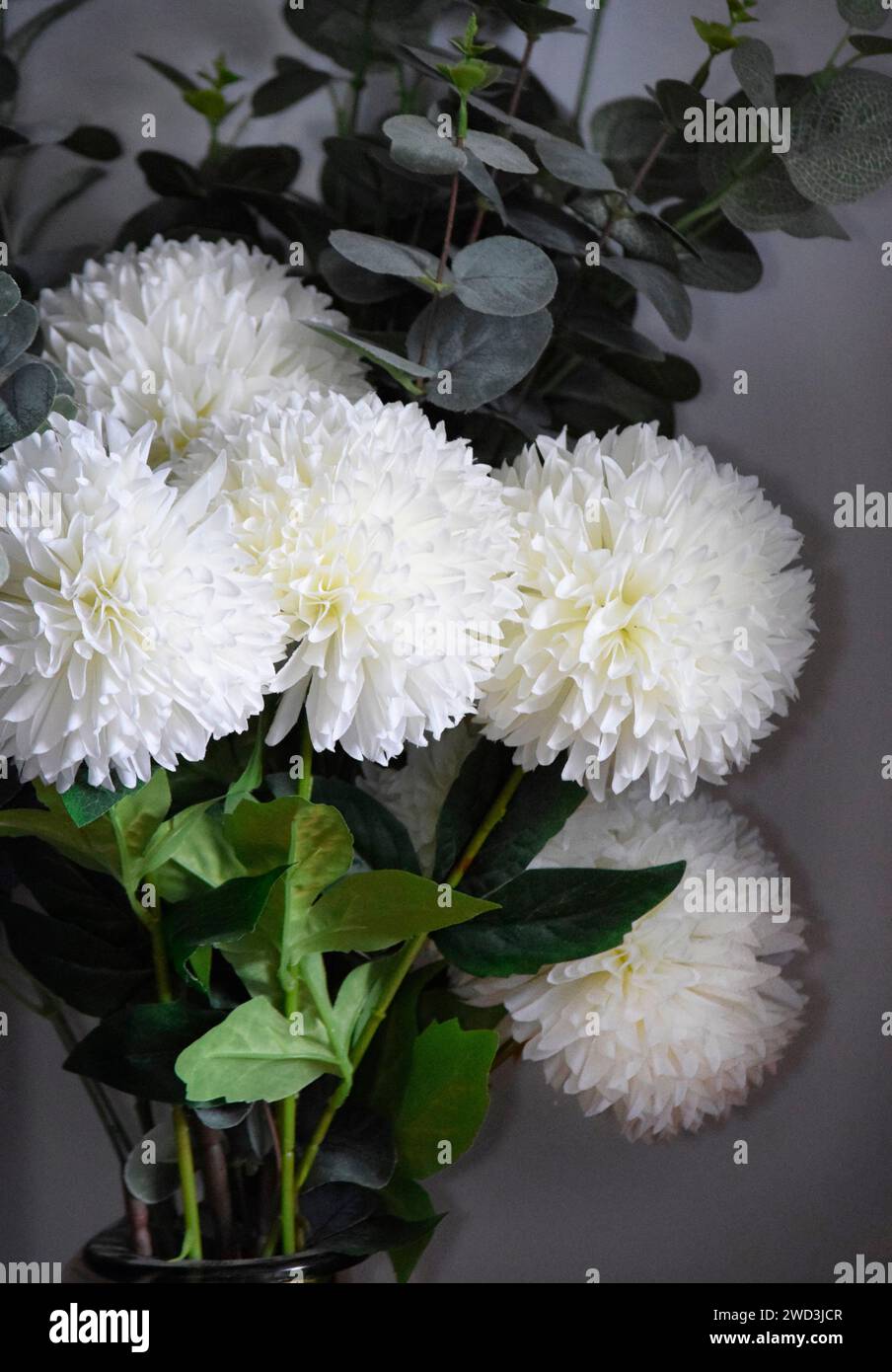 Chrysanthemum cut flowers hi-res stock photography and images - Alamy