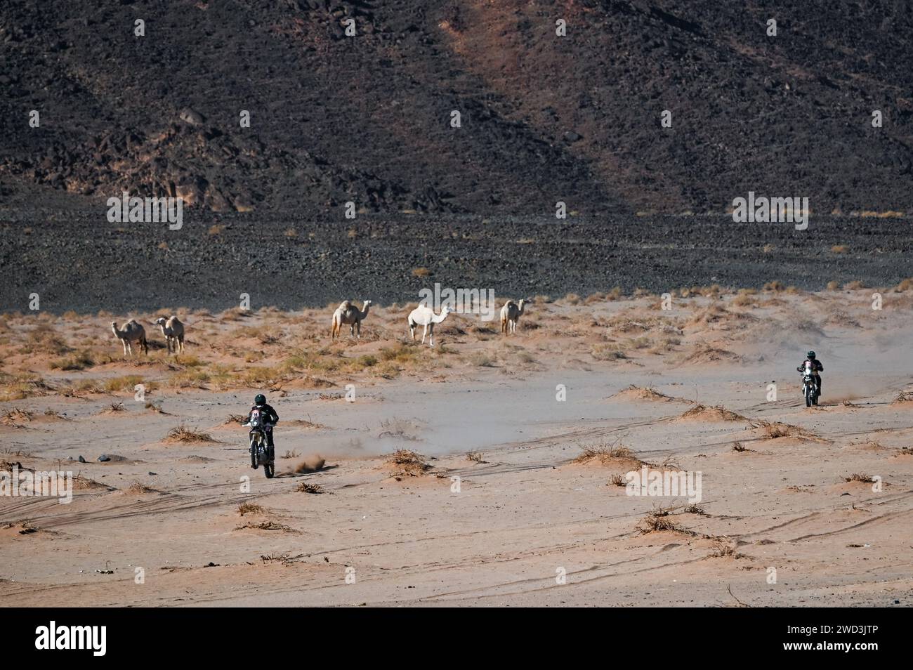 Yanbu, Arabie Saoudite. 18th Jan, 2024. 94 O'KELLY Oran (irl), Vendetta ...