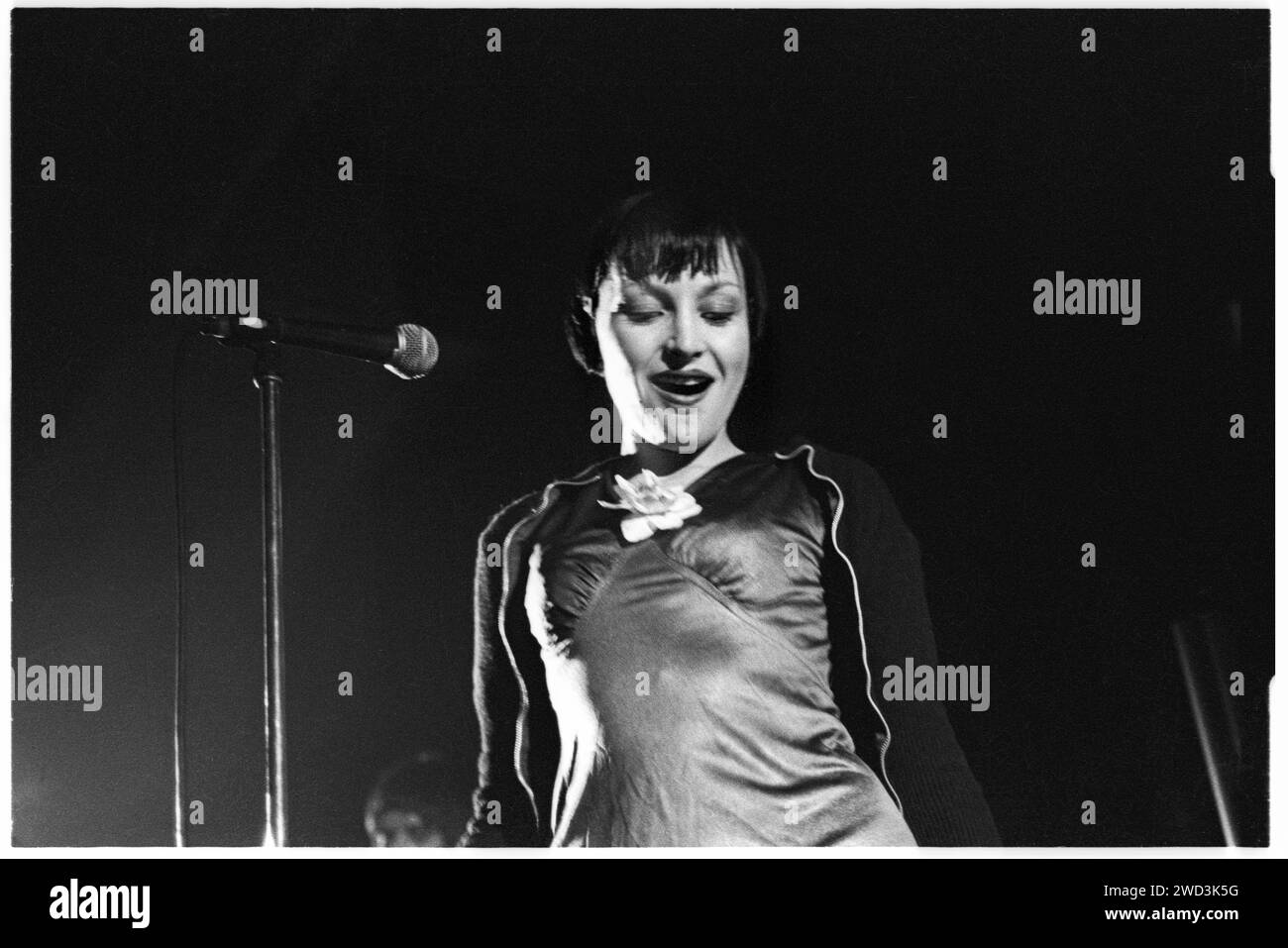 Lodger band hi-res stock photography and images - Alamy