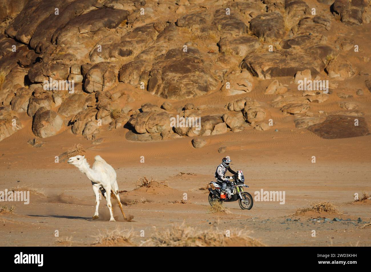 76 LEPAN Jean-Loup (fra), DUUST Diverse Racing, KTM, Moto, FIM W2RC ...