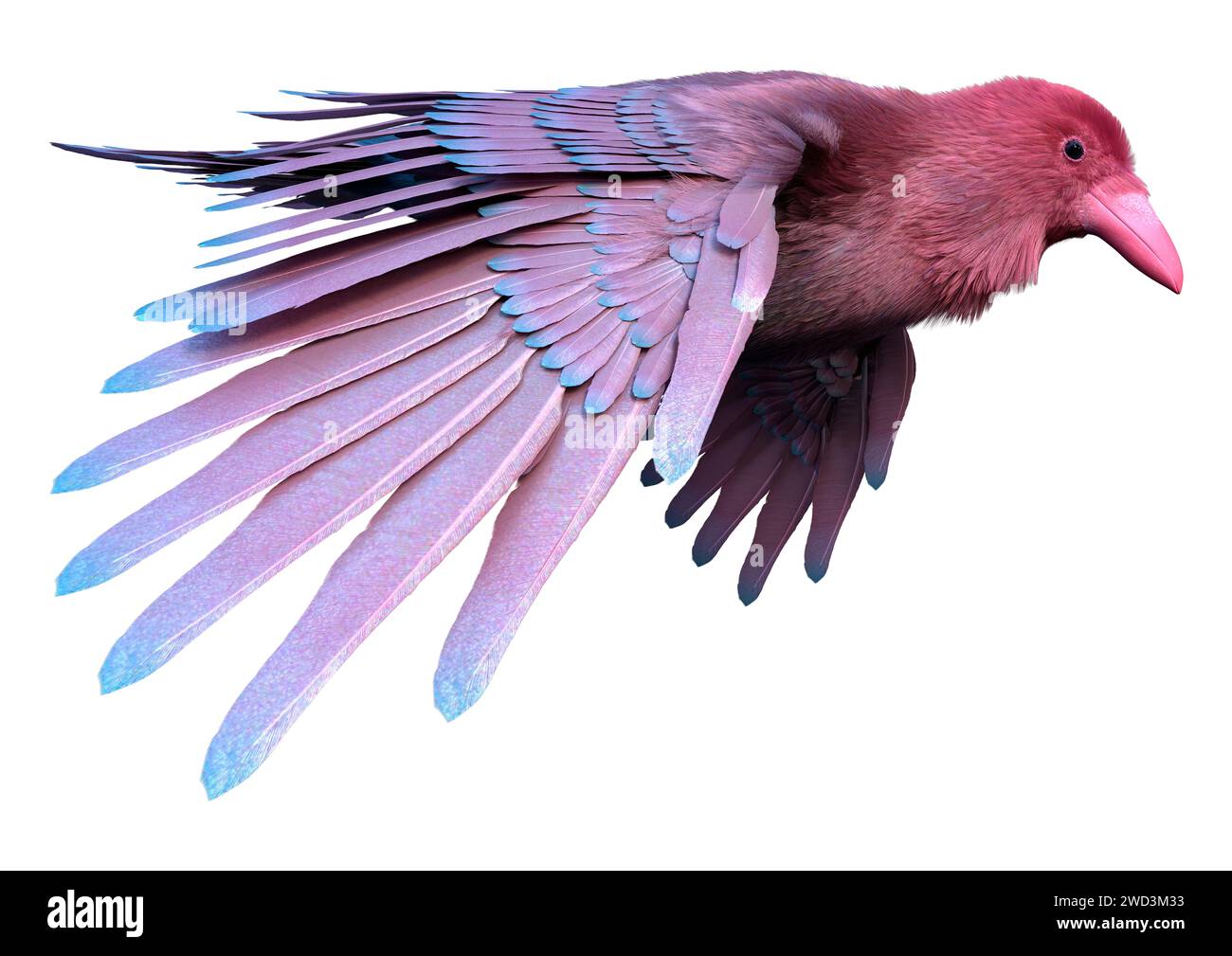 3D rendering of a pink crow isolated on white background Stock Photo ...