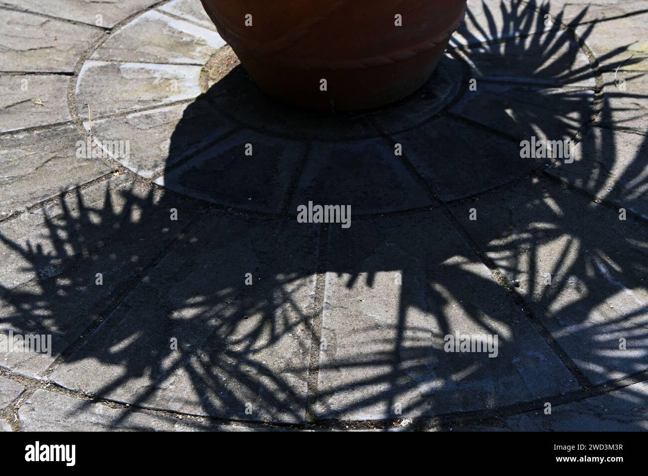 shadows of fan palm leaves Stock Photo - Alamy