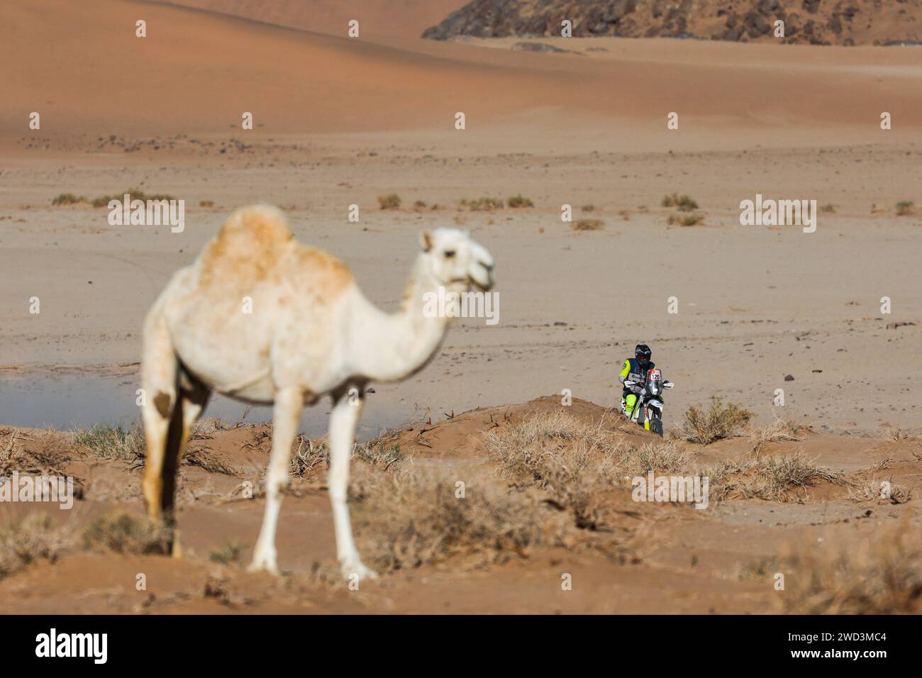 120 VAN DYCK Joris (bel), HT Rally Raid Husqvarna Racing, Husqvarna ...