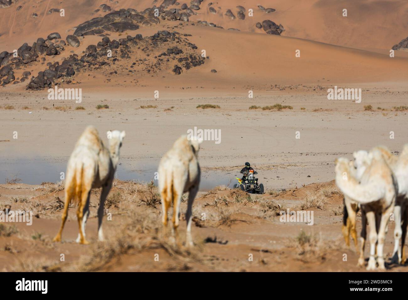 178 DESBUISSON Samuel (fra), Drag'On Rally Team, Yamaha, Quad, FIM W2RC ...