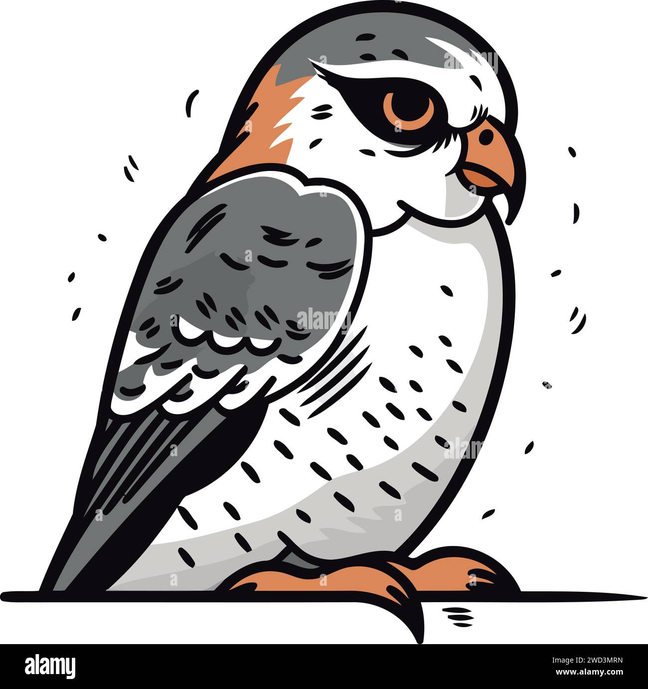 A hawk Cut Out Stock Images & Pictures - Alamy