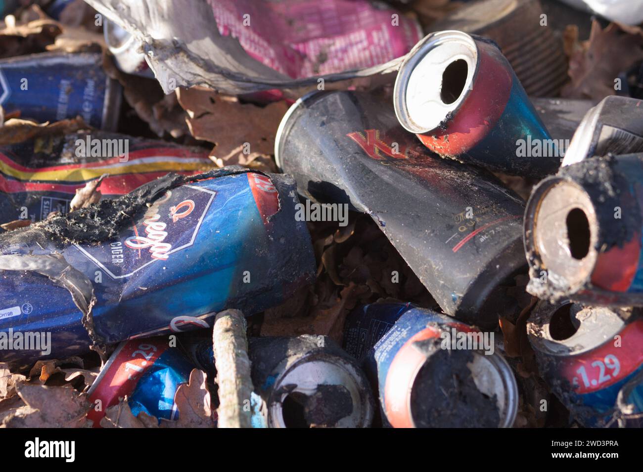 Empty beer cans hi-res stock photography and images - Alamy