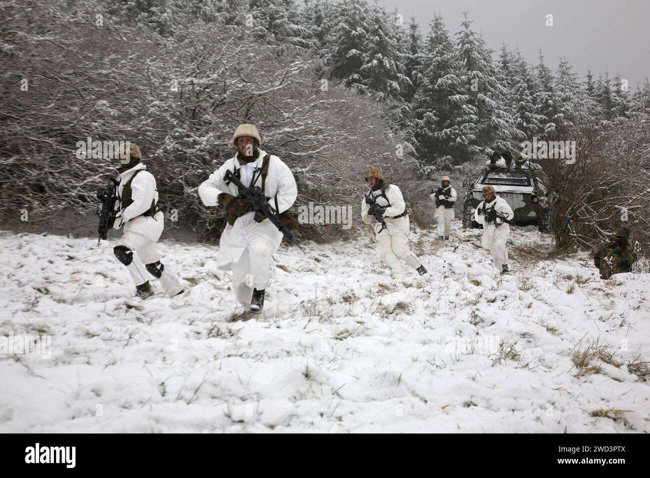 Die Deutsch-Französische Brigade DF-Brigade übt mit Infanterie, Panzern ...
