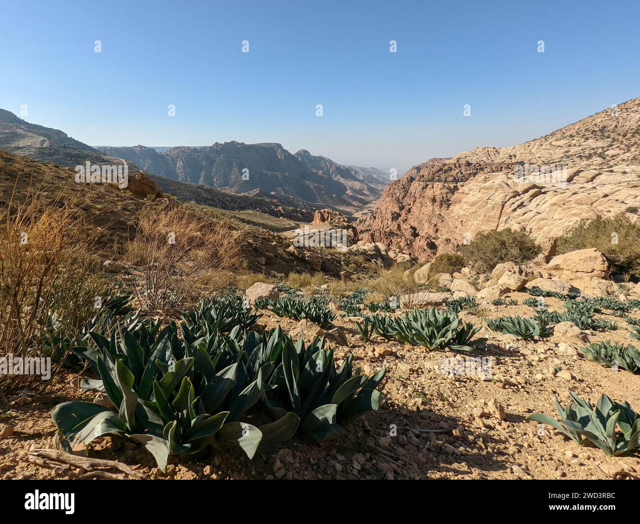 Panorama landscape view of Wadi Dana a large natural canyon, Wadi Araba ...