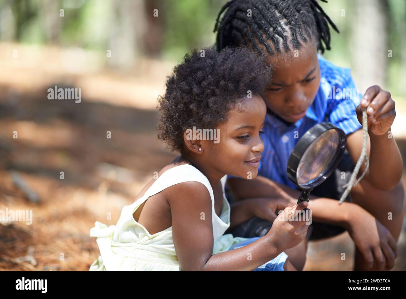Children, siblings and magnifying glass in a forest for branch ...