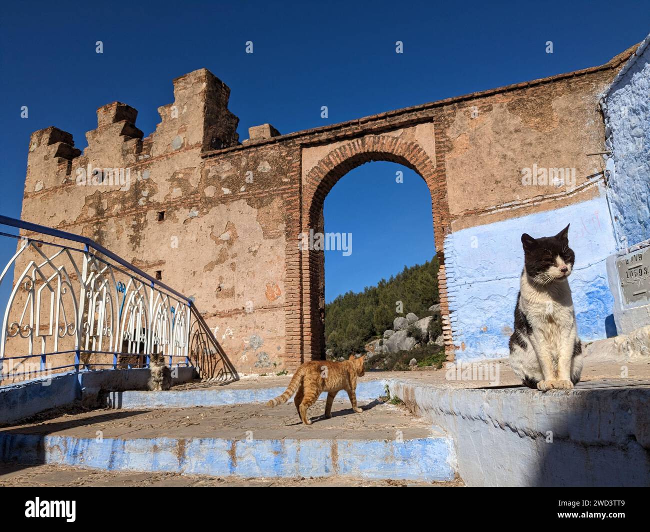 Amazing view of the streets in the blue city of Chefchaouen. Location ...