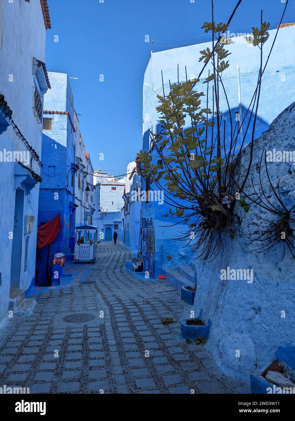 Amazing view of the streets in the blue city of Chefchaouen. Location ...