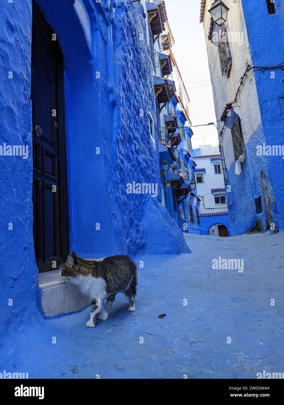 Amazing view of the streets in the blue city of Chefchaouen. Location ...
