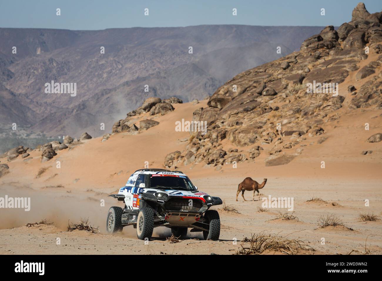 217 HOLOWCZYC Krzysztof (pol), KURZEJA ?ukasz (pol), X-Raid Mini JCW ...