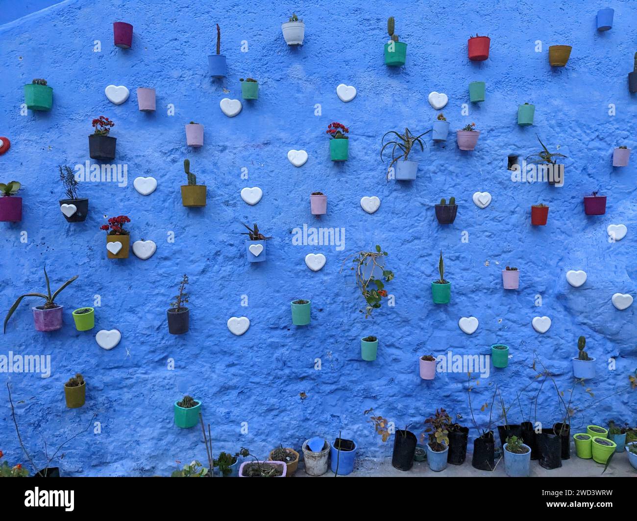 Amazing view of streets in the blue city of Chefchaouen.Morocco, Africa ...