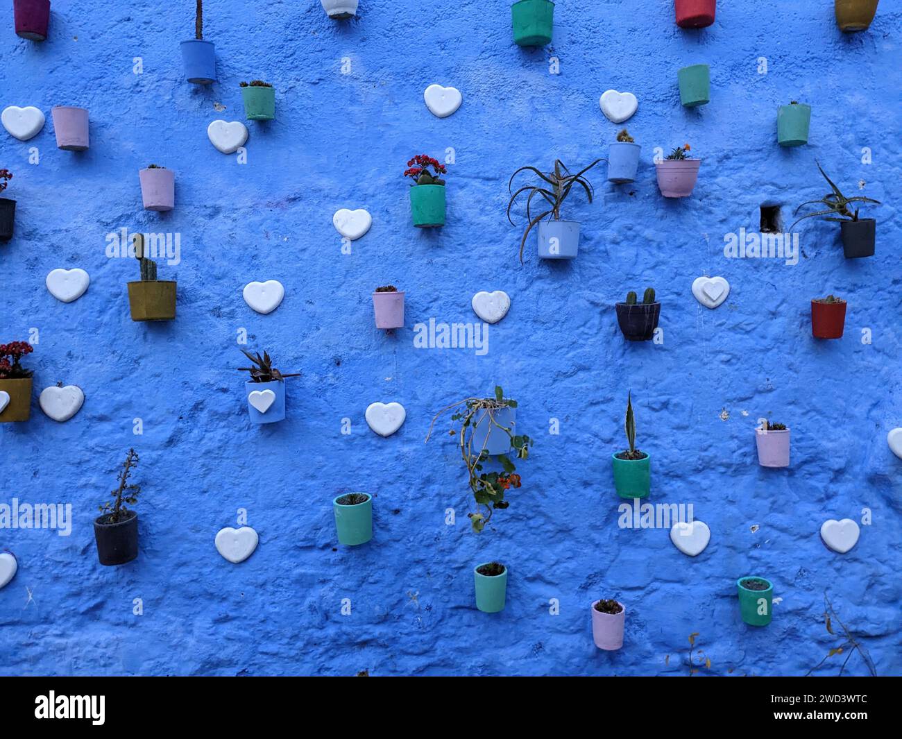Amazing view of streets in the blue city of Chefchaouen.Morocco, Africa ...