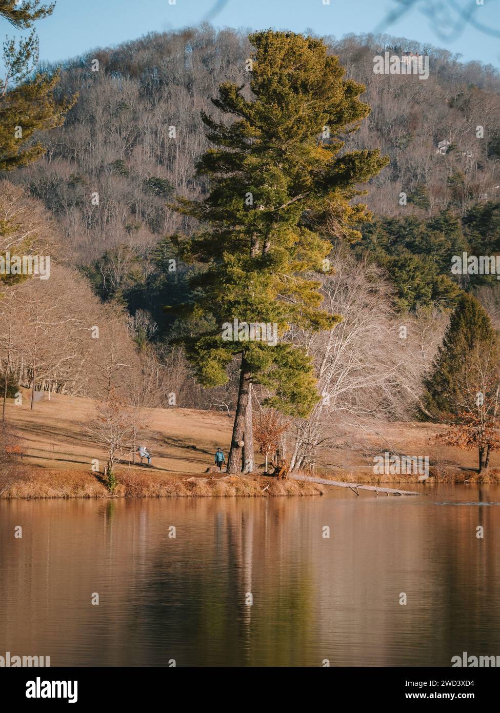 Picturesque lakeside trees hi-res stock photography and images - Alamy