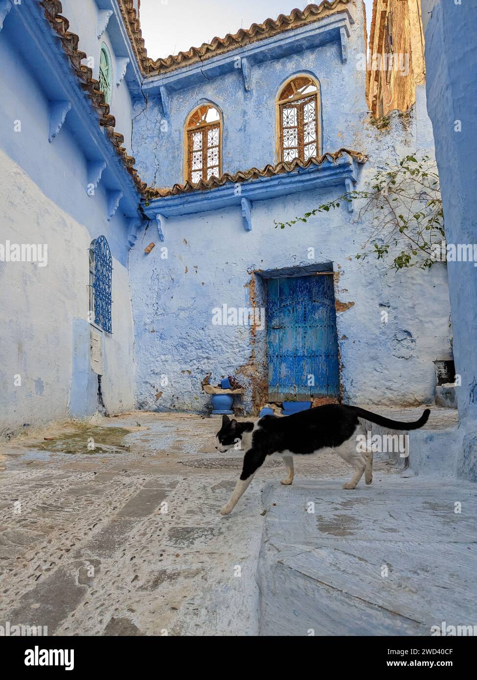 Amazing view of the streets in the blue city of Chefchaouen. Location ...