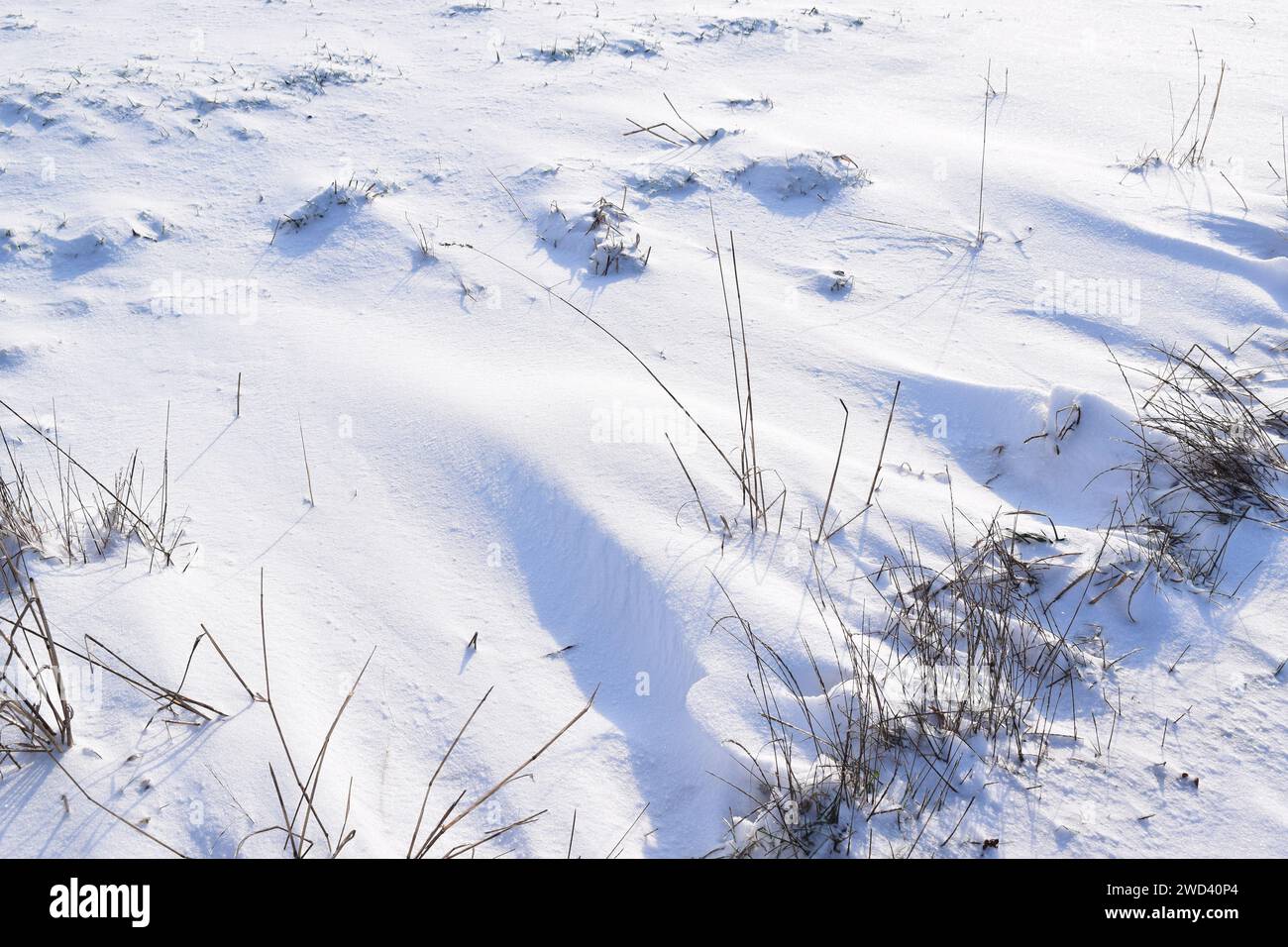 wind shaped fresh snow Stock Photo - Alamy