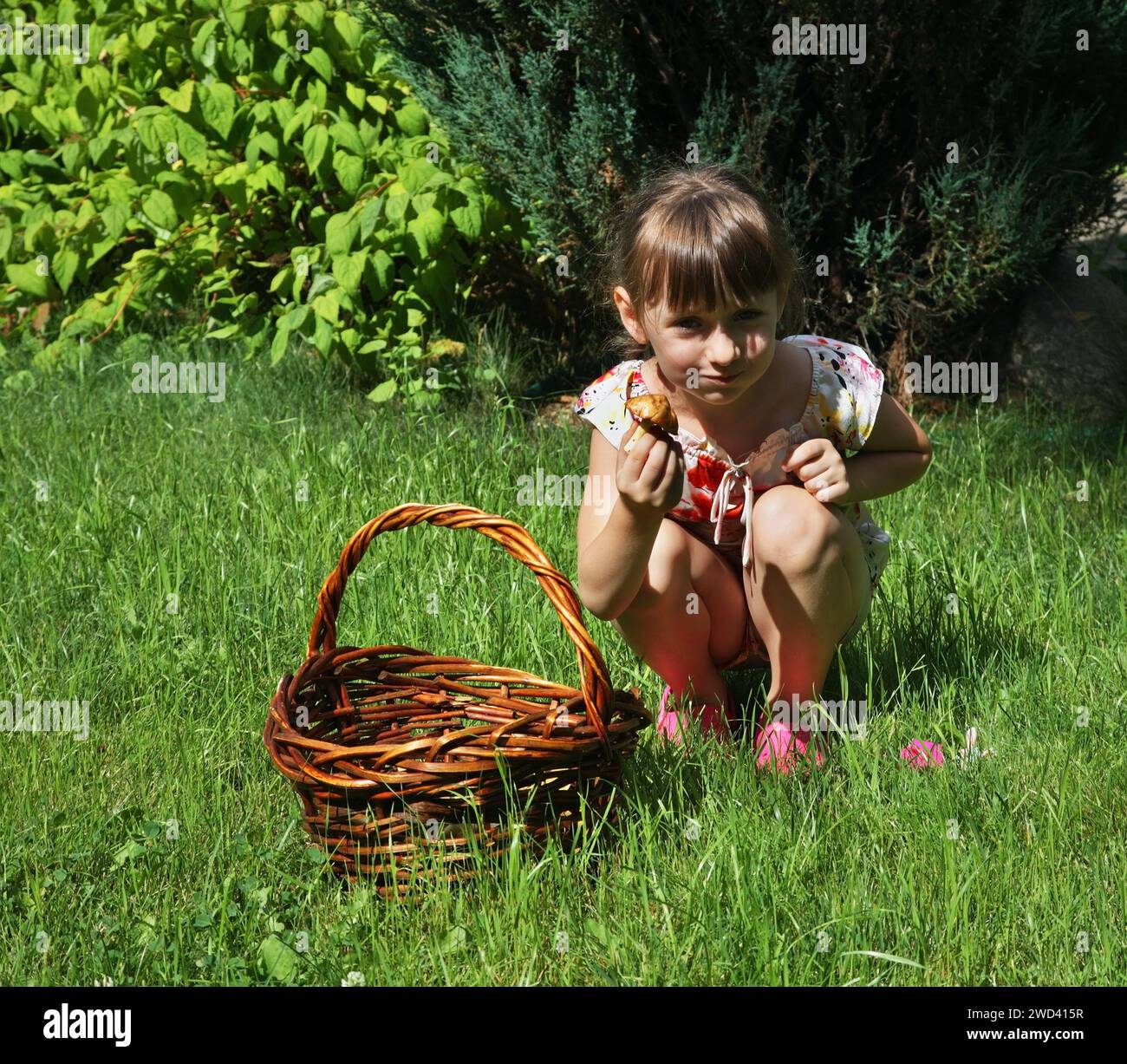 family, vacation, outside, household, home, mother, mater, lady, female ...