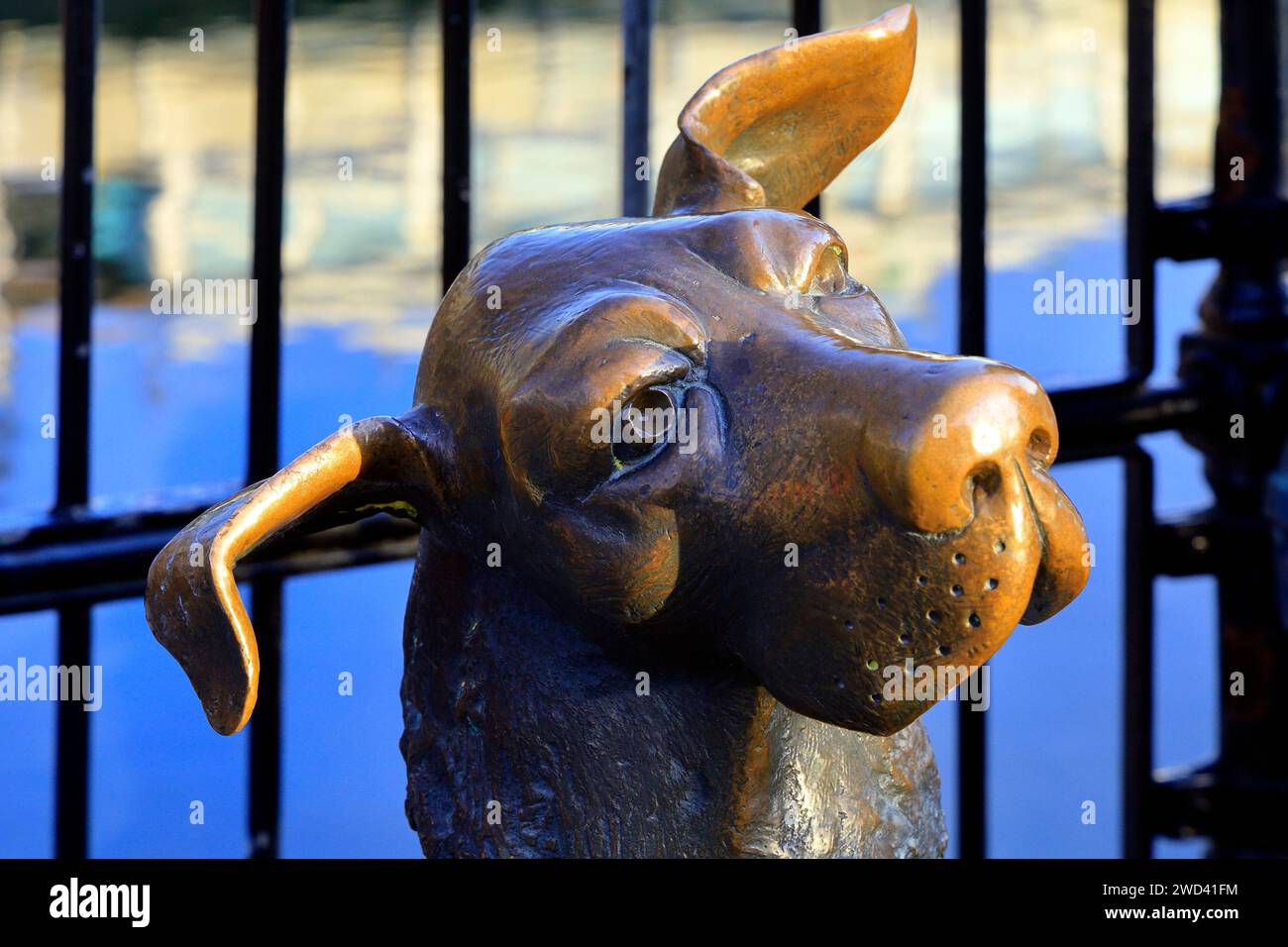 Well rubbed hi-res stock photography and images - Alamy