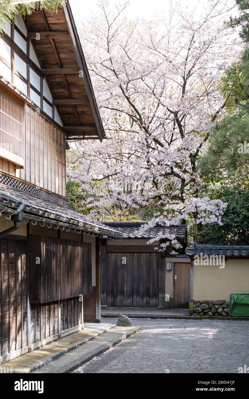 Street scene in spring in Nagamachi Samurai District, Kanazawa ...