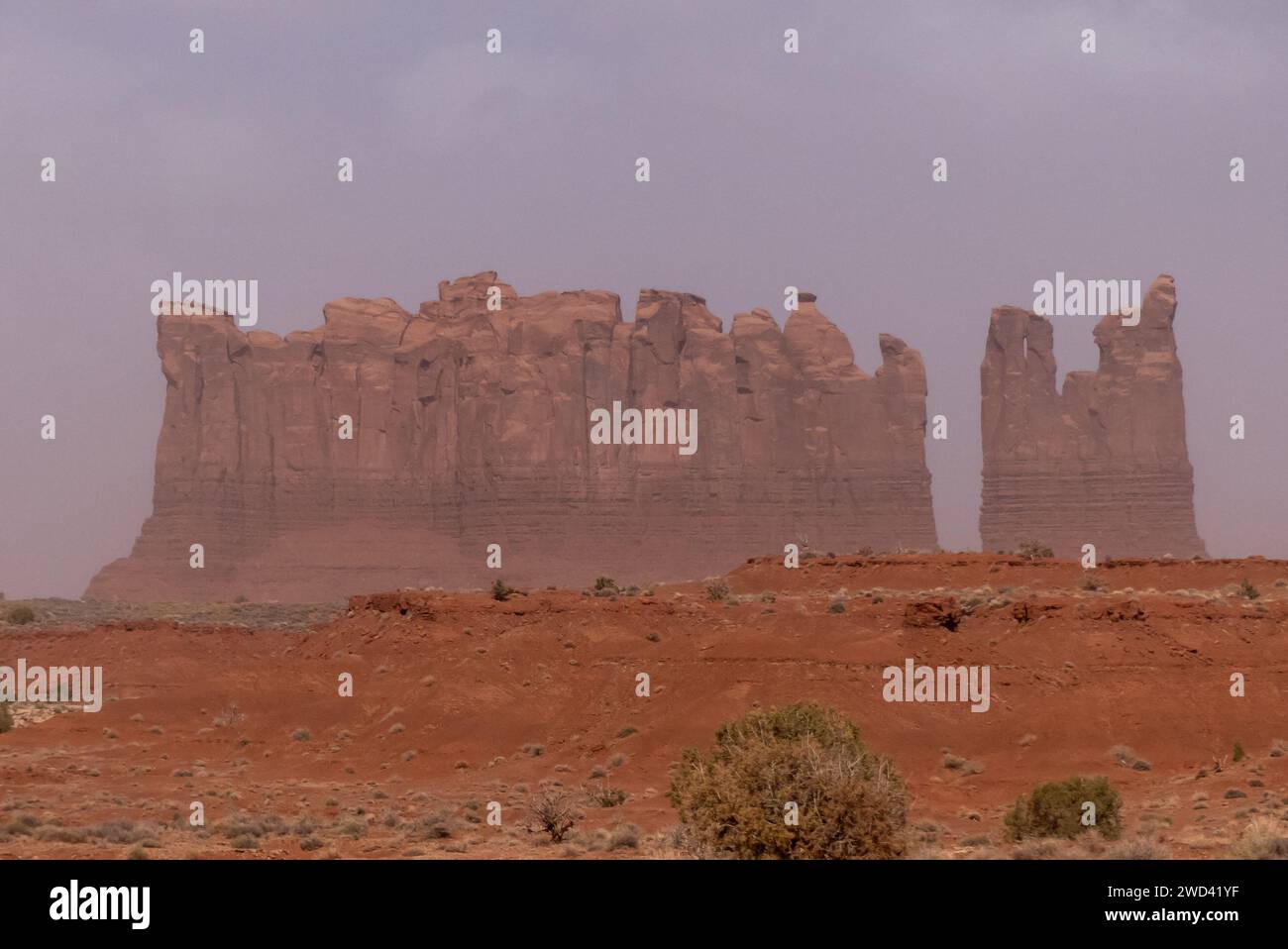 Bear and rabbit butte hi-res stock photography and images - Alamy