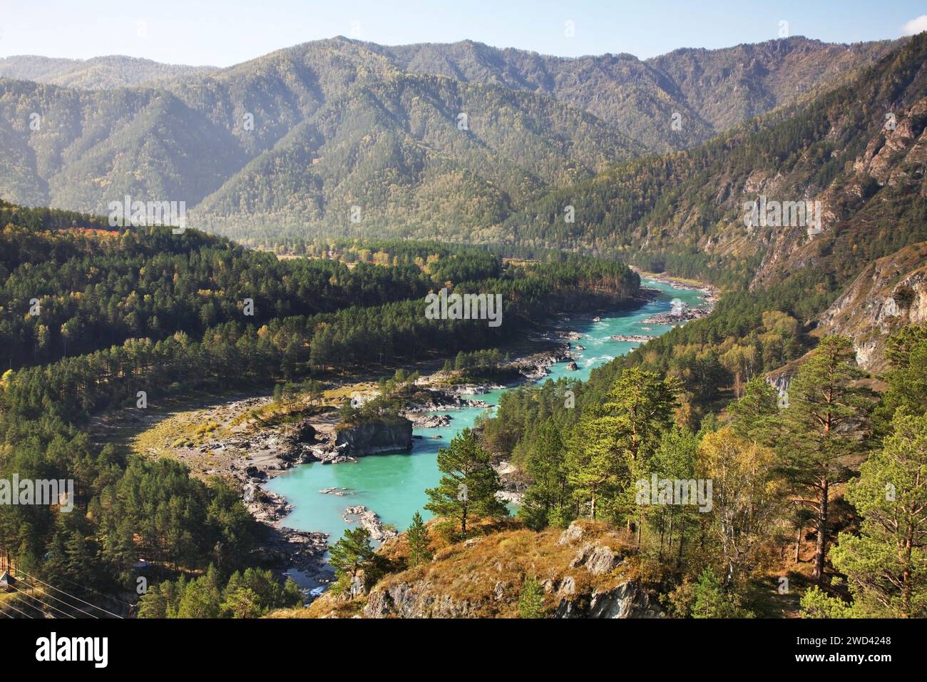 Katun river near Chemal village. Altai Republic. Russia Stock Photo - Alamy