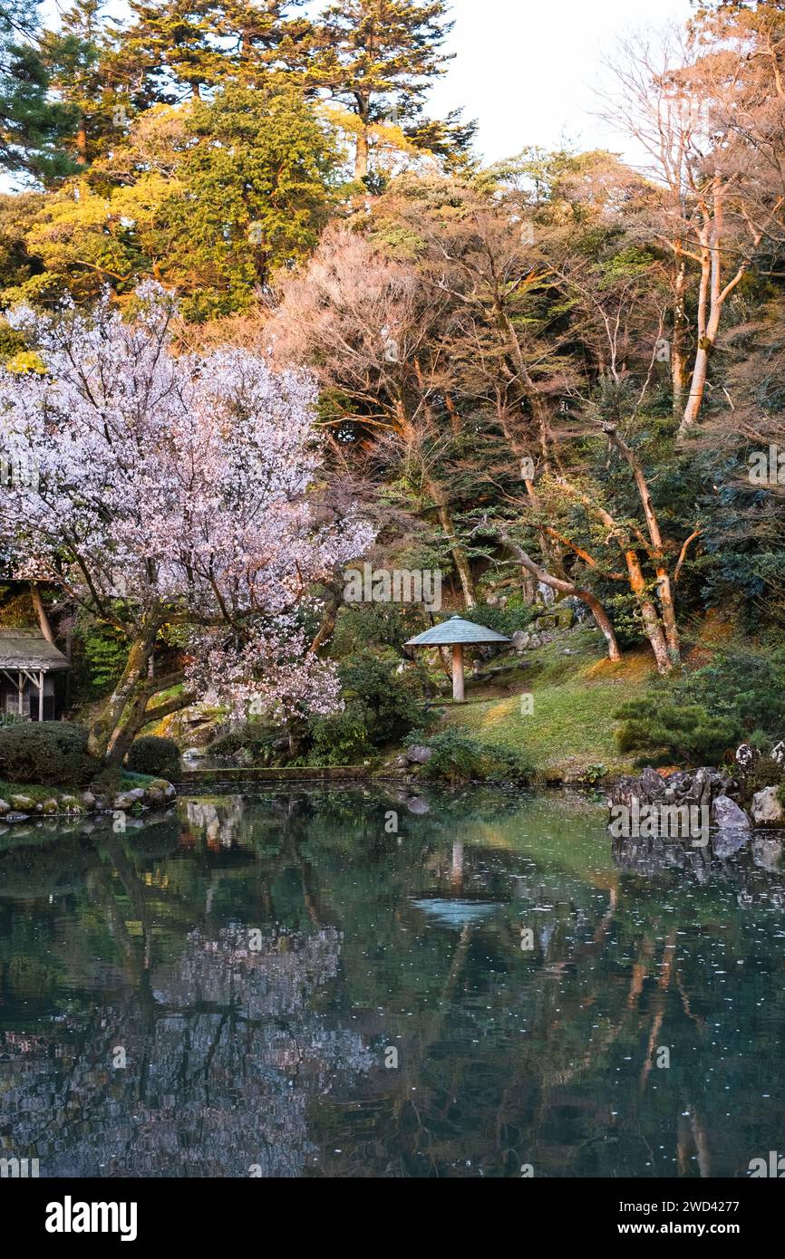 Hisago-ike Pond in Kenrokumachi, Kanazawa, Ishikawa, Japan at golden hour Stock Photo - Alamy