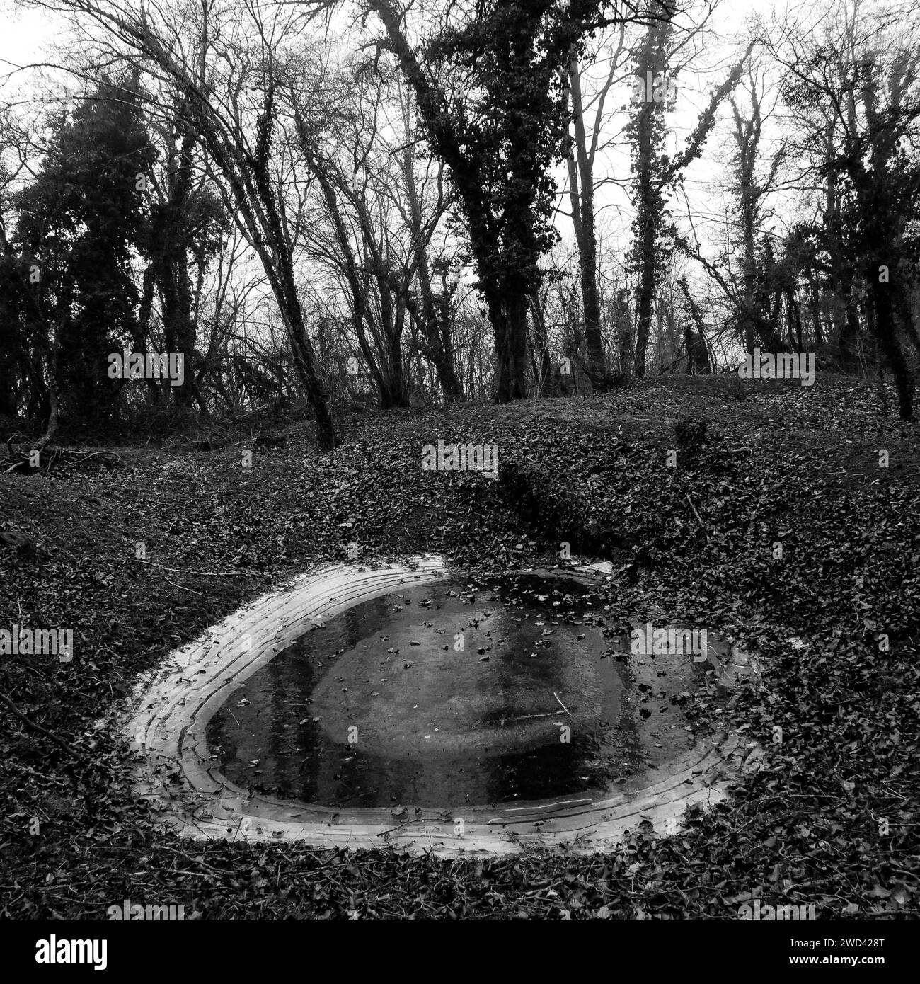 War-scarred landscape, Verdun battlefield, Les Eparges, Meuse, Grand ...
