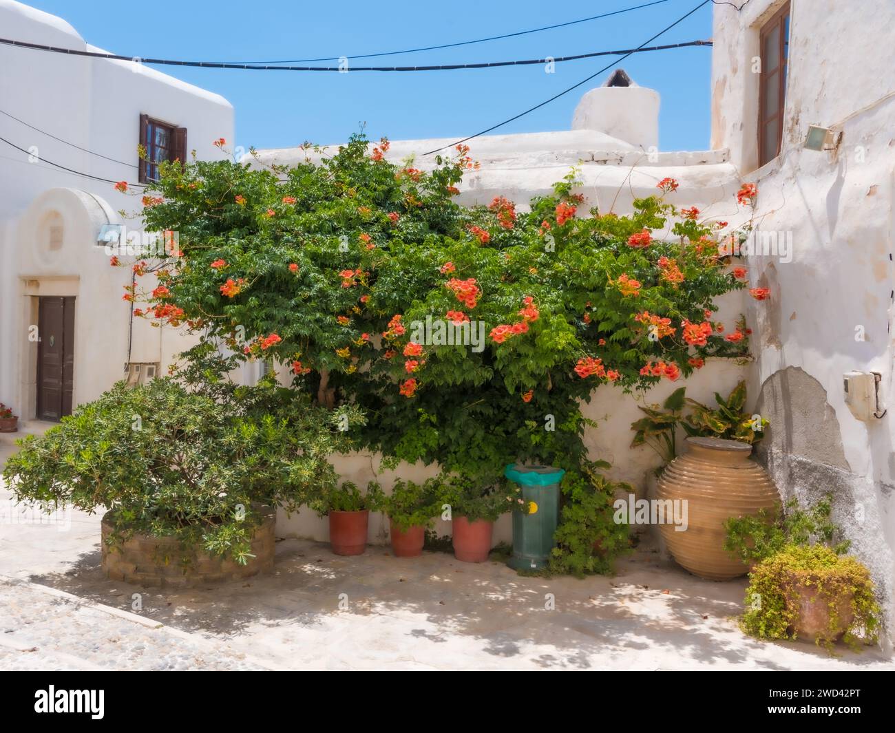 Flowers and shrubs on a street on Greek island in summer Stock Photo ...