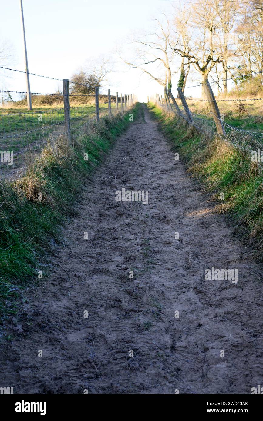 Frozen mud hi-res stock photography and images - Alamy