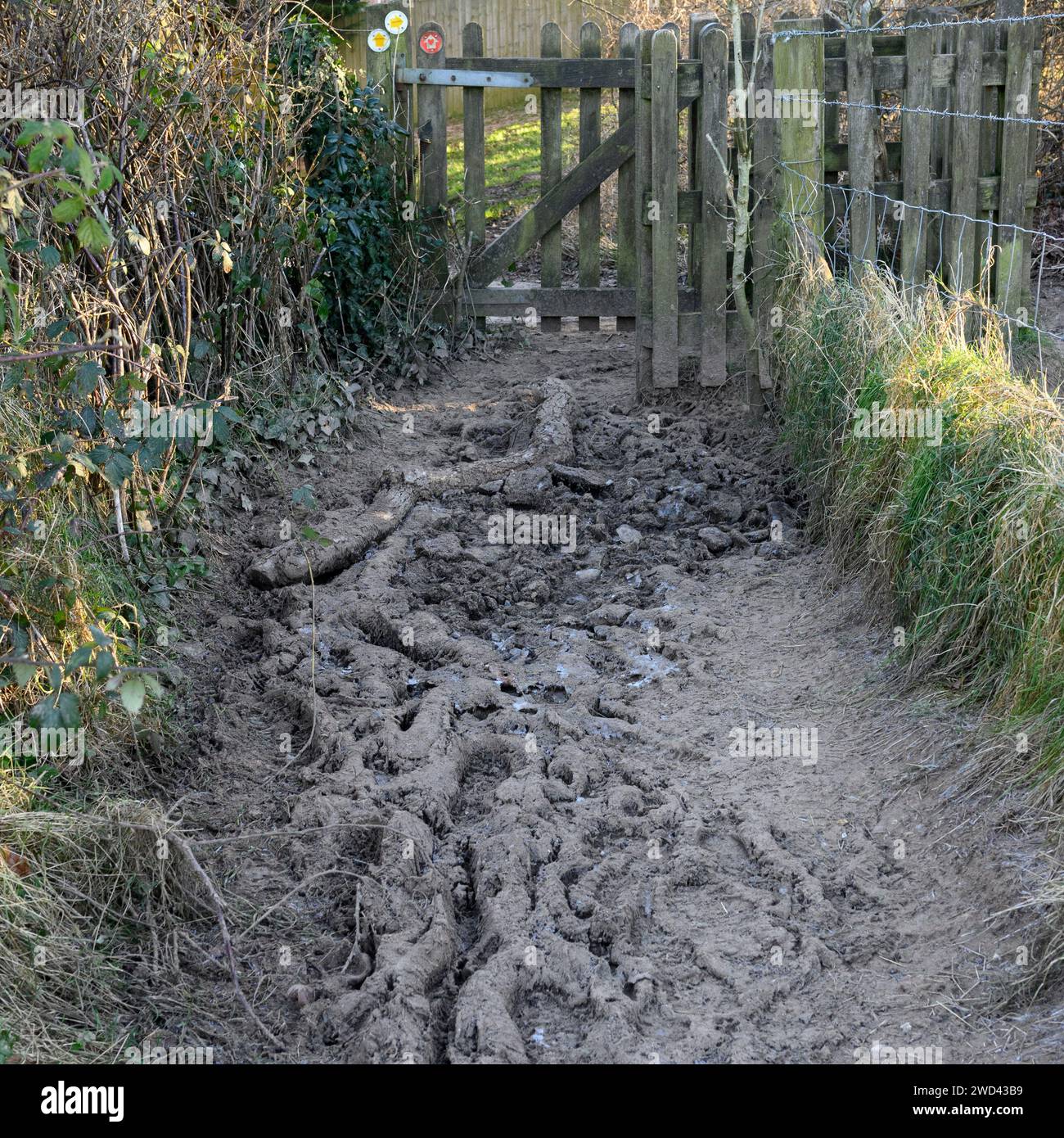 Frozen mud hi-res stock photography and images - Alamy